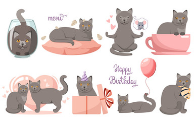 A set of funny british cats Royalty Free Vector Image