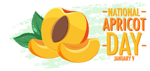 National apricot day poster design Royalty Free Vector Image