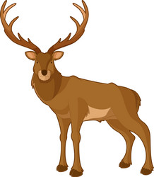 Cute deer cartoon Royalty Free Vector Image - VectorStock