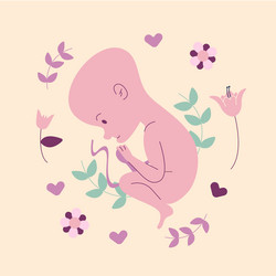Placenta Cartoon Vector Images (over 110)