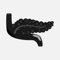 Pancreas Silhouette Vector Images (over 590)