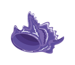 Purple Sea Shell Vector Images (over 750)