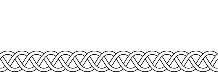 Rope cable weaving knot twisted braid macrame Vector Image