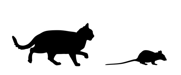 Fat hungry cat is chasing the mouse silhouette Vector Image