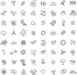 Big natural icon set Royalty Free Vector Image
