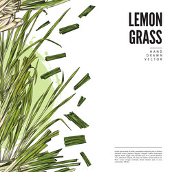 Lemongrass Vector Images (over 1,200)