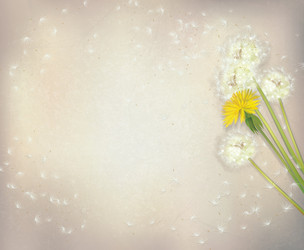 Vintage paper flowers template eps 10 Royalty Free Vector