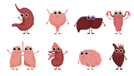 Cartoon human organs Royalty Free Vector Image
