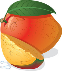 Mango Vector Images (over 19,000)