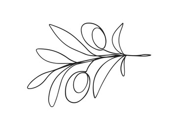 One line drawing olives set Royalty Free Vector Image