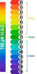 Ph scale universal indicator color chart Vector Image