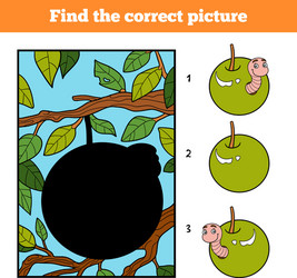 Find correct shadow education game collection Vector Image
