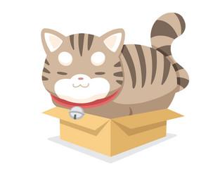 A cat inside the box Royalty Free Vector Image