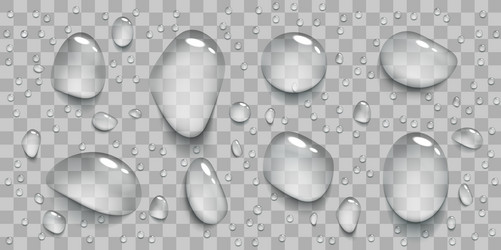 Realistic water drops transparent background Vector Image