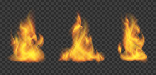 Fire texture mockup flame pattern isolated Vector Image