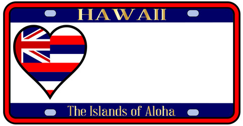 Hawaii License Plate Vector Images (36)