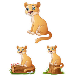 Cartoon animal on tree log Royalty Free Vector Image