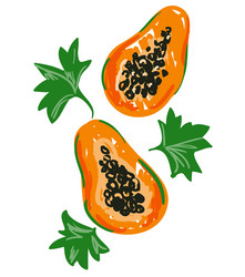 Pawpaw Drawing Vector Images (over 360)