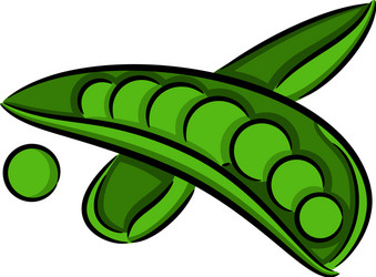 Green peas in a pod Royalty Free Vector Image - VectorStock