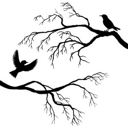 Birds at tree silhouettes Royalty Free Vector Image