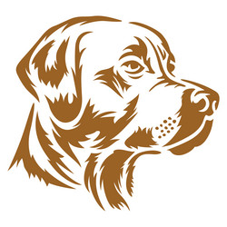 Golden Retriever Stencil Face