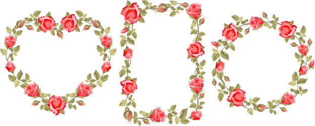 Rose frame Royalty Free Vector Image - VectorStock