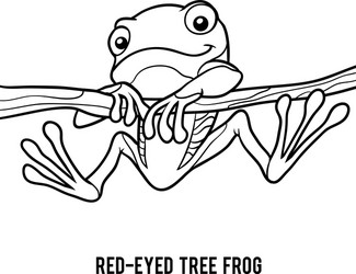 Red Eyed Tree Frog Clipart Black And White