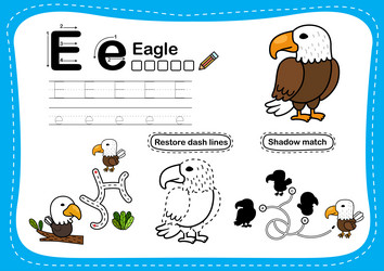 Eagle Flashcard Vector Images (24)