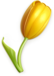 Single Tulip Vector Images (over 860)