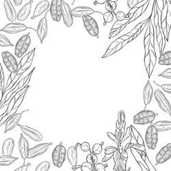 Cardamom Seed Vector Images (over 1,100)