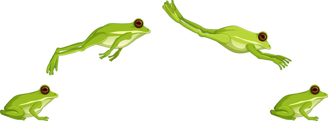 Tree Frog Jumping Drawing