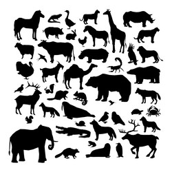 Free Turtle Vector Images (over 1,800)