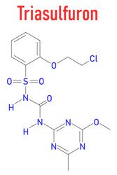 Triasulfuron herbicide molecule skeletal formula Vector Image