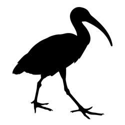Silhouettes of ibis set icons flying Royalty Free Vector