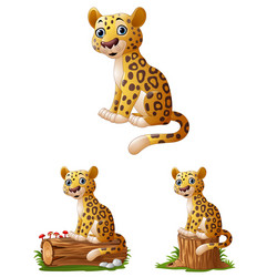 Cartoon leopard sitting on tree stump Royalty Free Vector