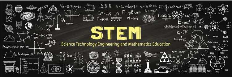 Stem Vector Images (over 120,000)