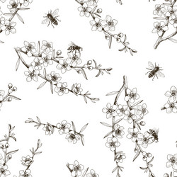 New zealands wild manuka blossoms and honey bees Vector Image