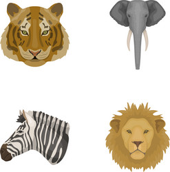 Tiger lion elephant zebra realistic animals Vector Image