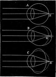 Vision Line Vector Images (over 42,000)