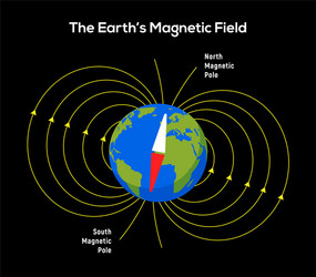 Earth magnetic field diagram Royalty Free Vector Image