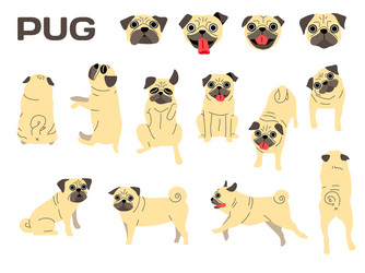 Pug Vector Images (over 10,000)