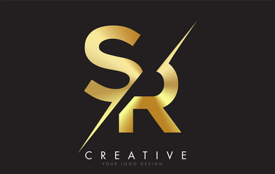 Creative blue letters sr s r logo with leading Vector Image