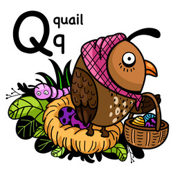 Alphabet isolated letter q-quill-quail Royalty Free Vector