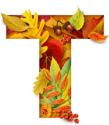 Autumn stylized alphabet with foliage letter x Vector Image