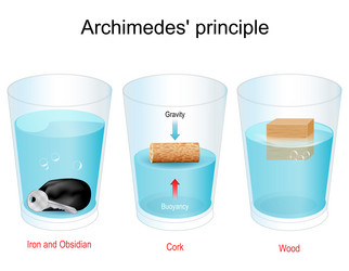 Archimedes Principle Gravity And Buoyant Force Vector Image