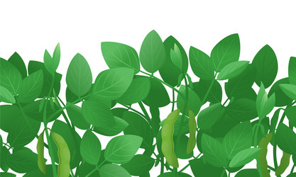 Soybean Plant Vector Images (over 2,200)