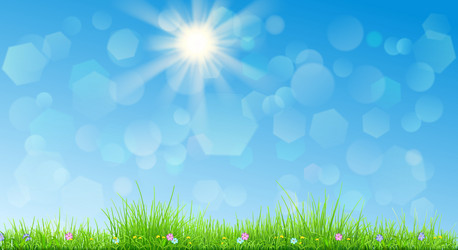 Spring background Royalty Free Vector Image - VectorStock