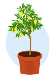 Cartoon Lemon Tree Vector Images (over 890)