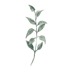 Beautiful clip art stock Royalty Free Vector Image