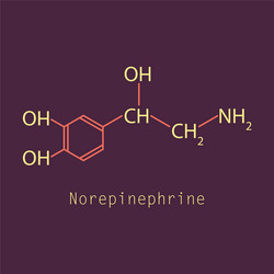 Norepinephrine noradrenaline norepi hormone Vector Image